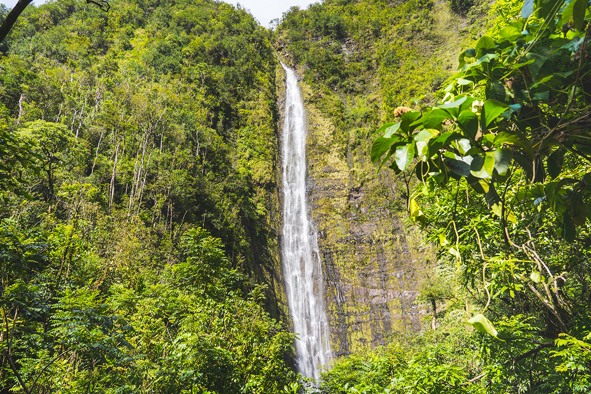 Ultimate Road To Hana Adventure: Seven Sacred Pools Guided Hike