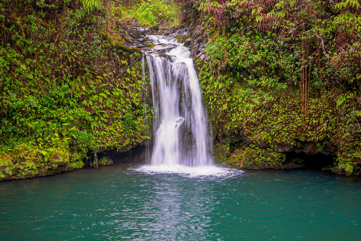 Ultimate Road To Hana Adventure: Seven Sacred Pools Guided Hike