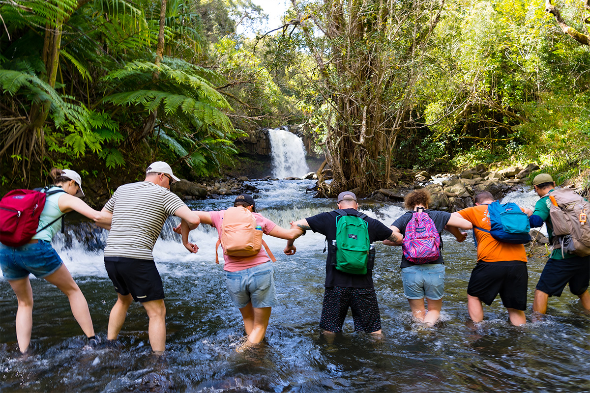 Maui Rainforest and Waterfall Hike Adventure with Local Guides