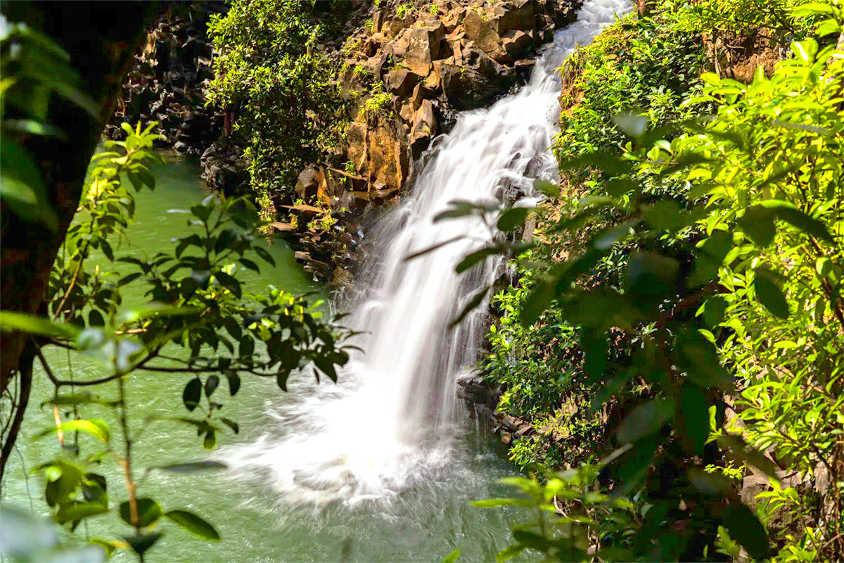 Easy Waterfall Walk & Swim Tour - Family Friendly Hike