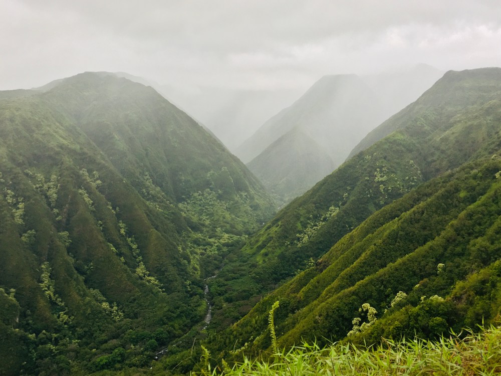 Waiheʻe Ridge Trail Guide: A Journey Above the Clouds | Hike Maui