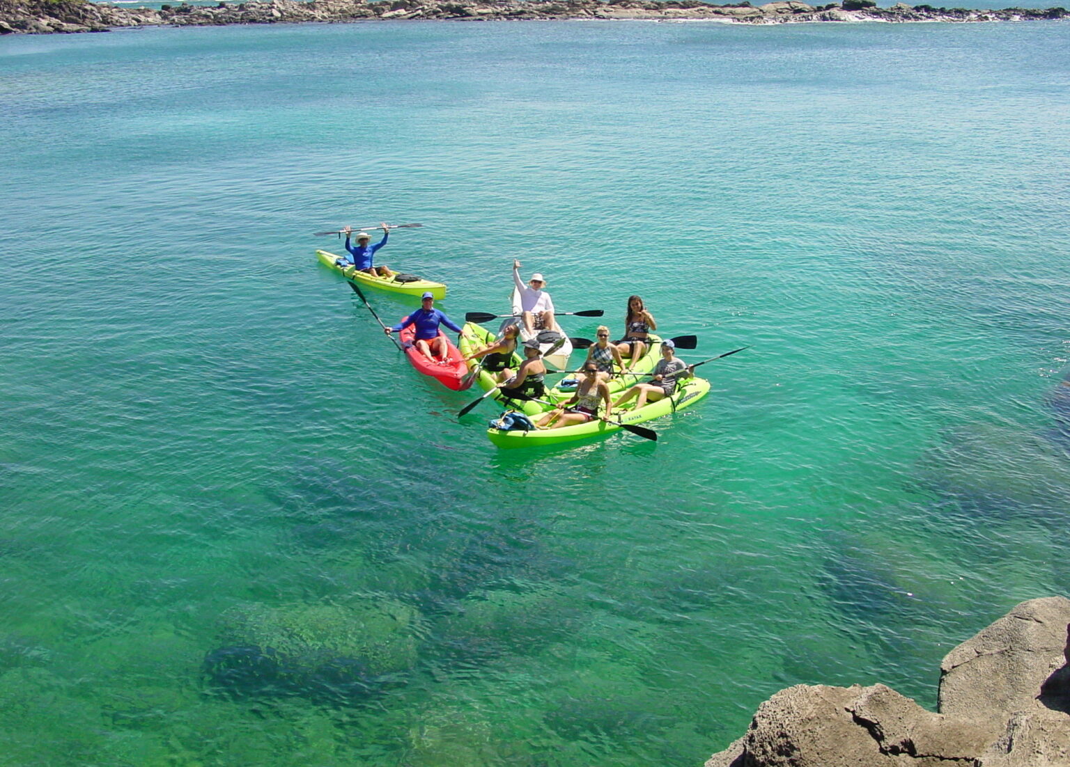 The Best Time to Whale Watch in Maui (By Month & Time of Day) | Hike Maui